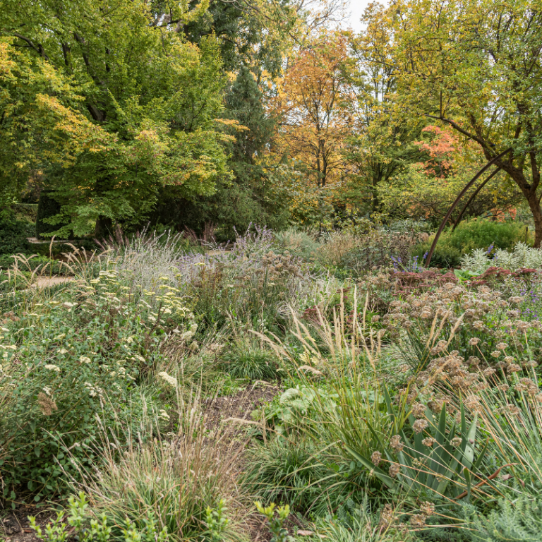 Overgrown: Plant Identification - Calderdale and Kirklees Recovery College