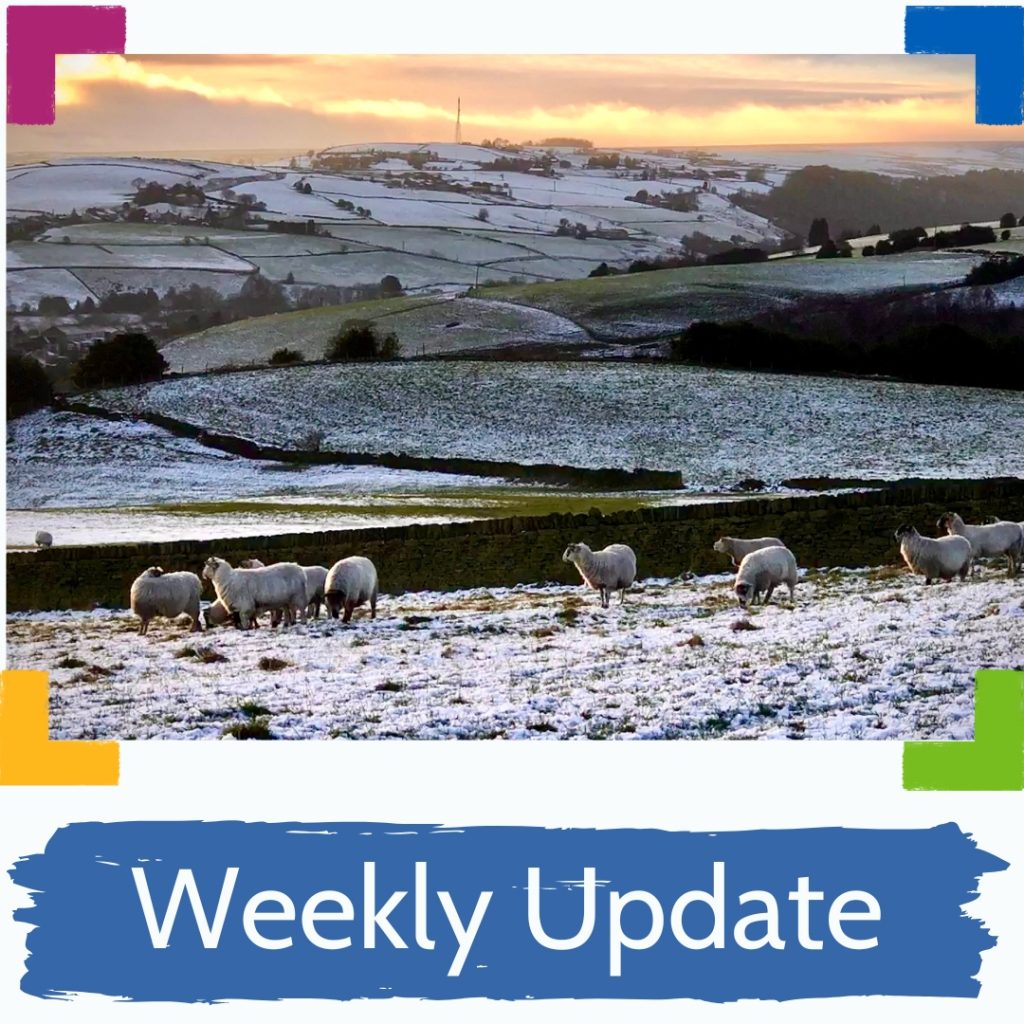 Weekly Update - Calderdale and Kirklees Recovery College